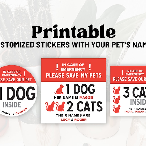 Pet Inside Sticker - Etsy