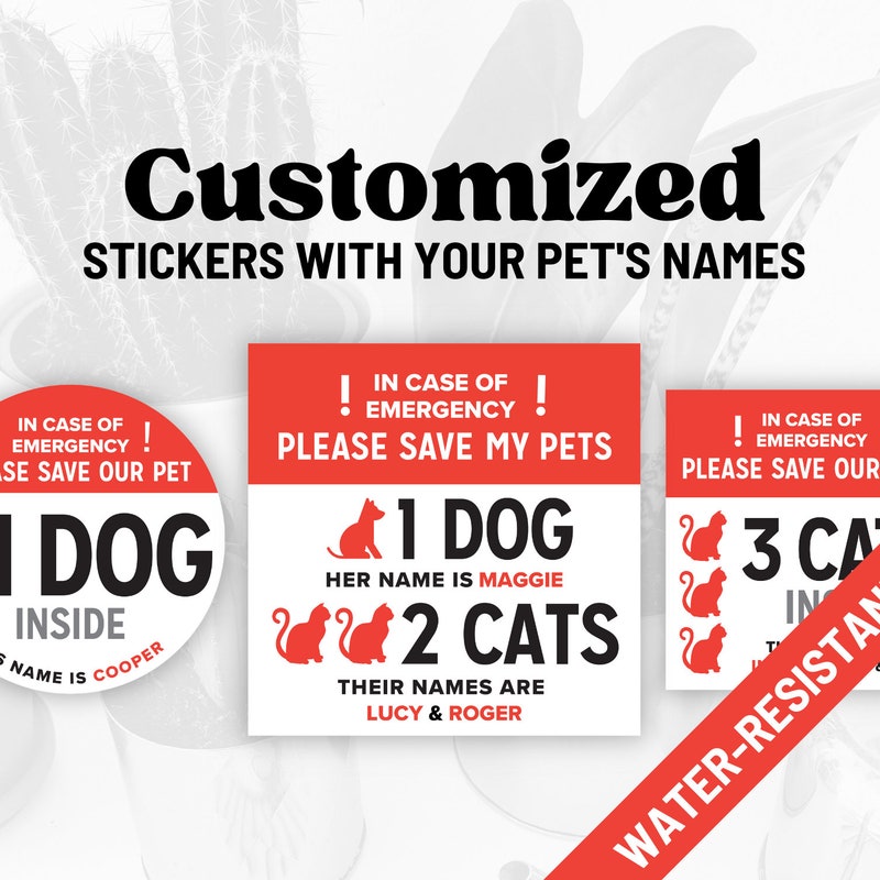 Pet Inside Sticker - Etsy