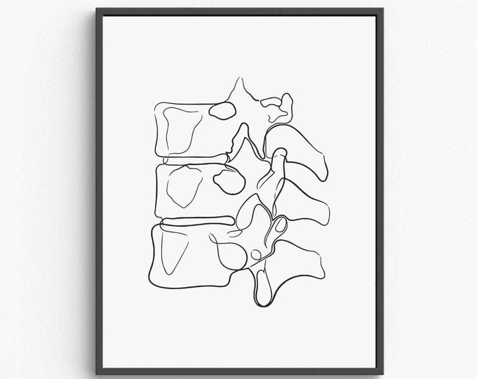 Lumbar Lateral View Minimal Anatomical | Line Anatomy Drawing ...