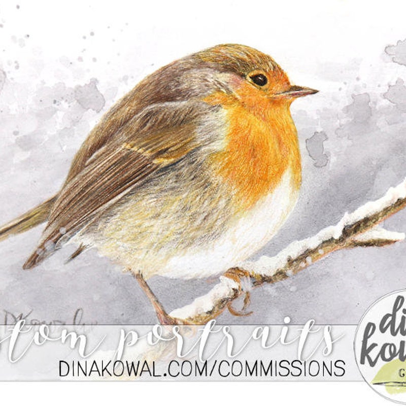English Robin - Etsy UK