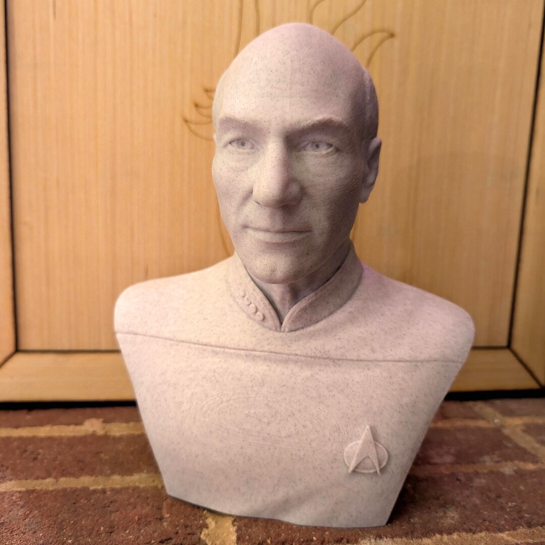 Captain Picard Marble-effect 3D Printed Bust - Custom Sizing, Made to ...