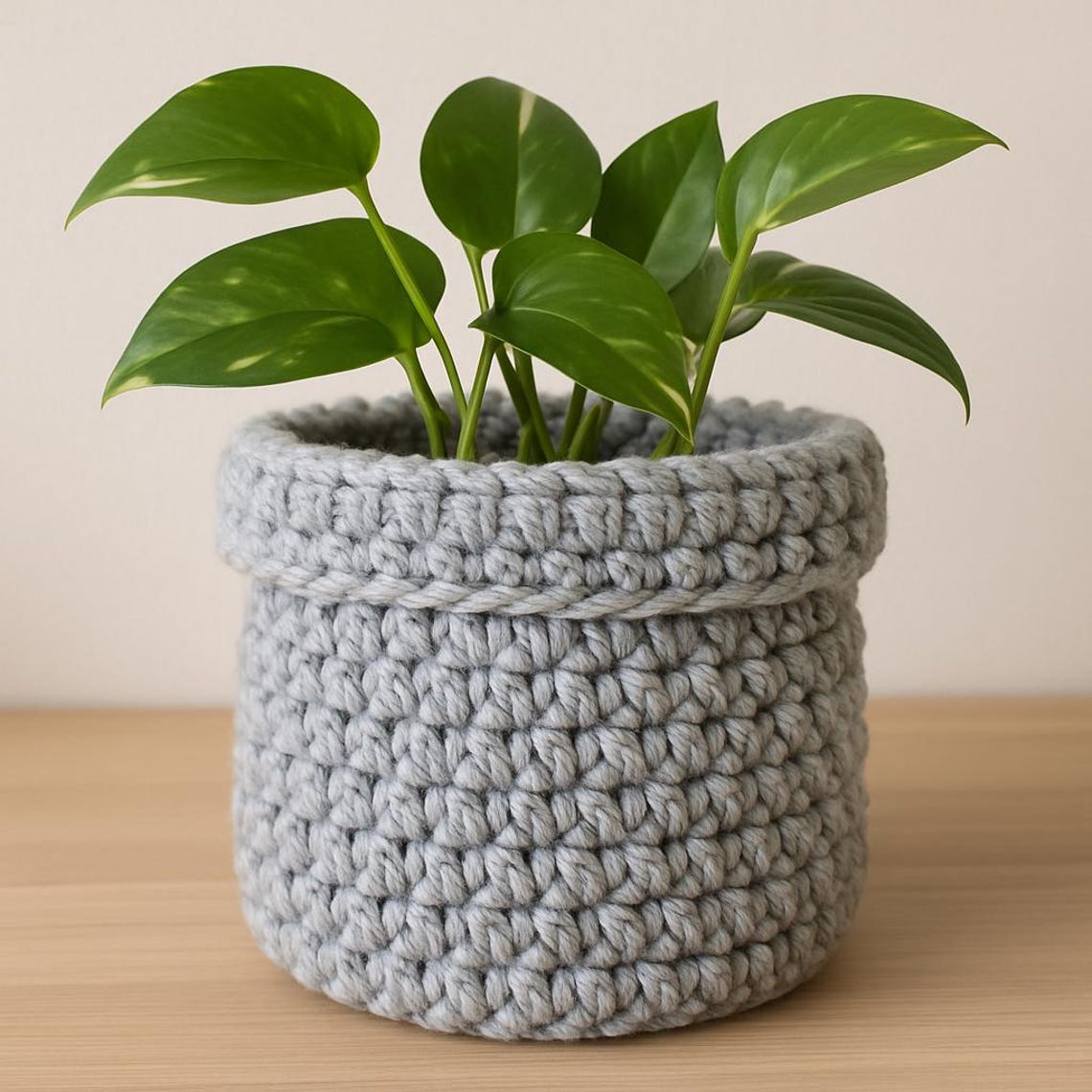 Crochet Plant Basket Pattern: Beginner-friendly Home Decor (PDF ...