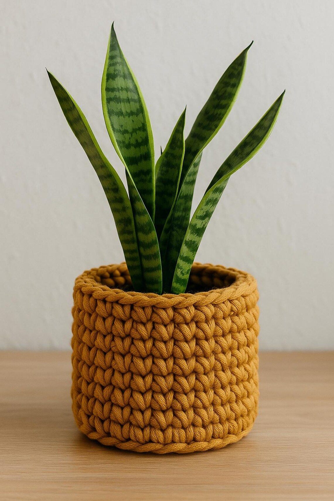 Crochet Plant Basket Pattern: Beginner-friendly Home Decor (PDF ...