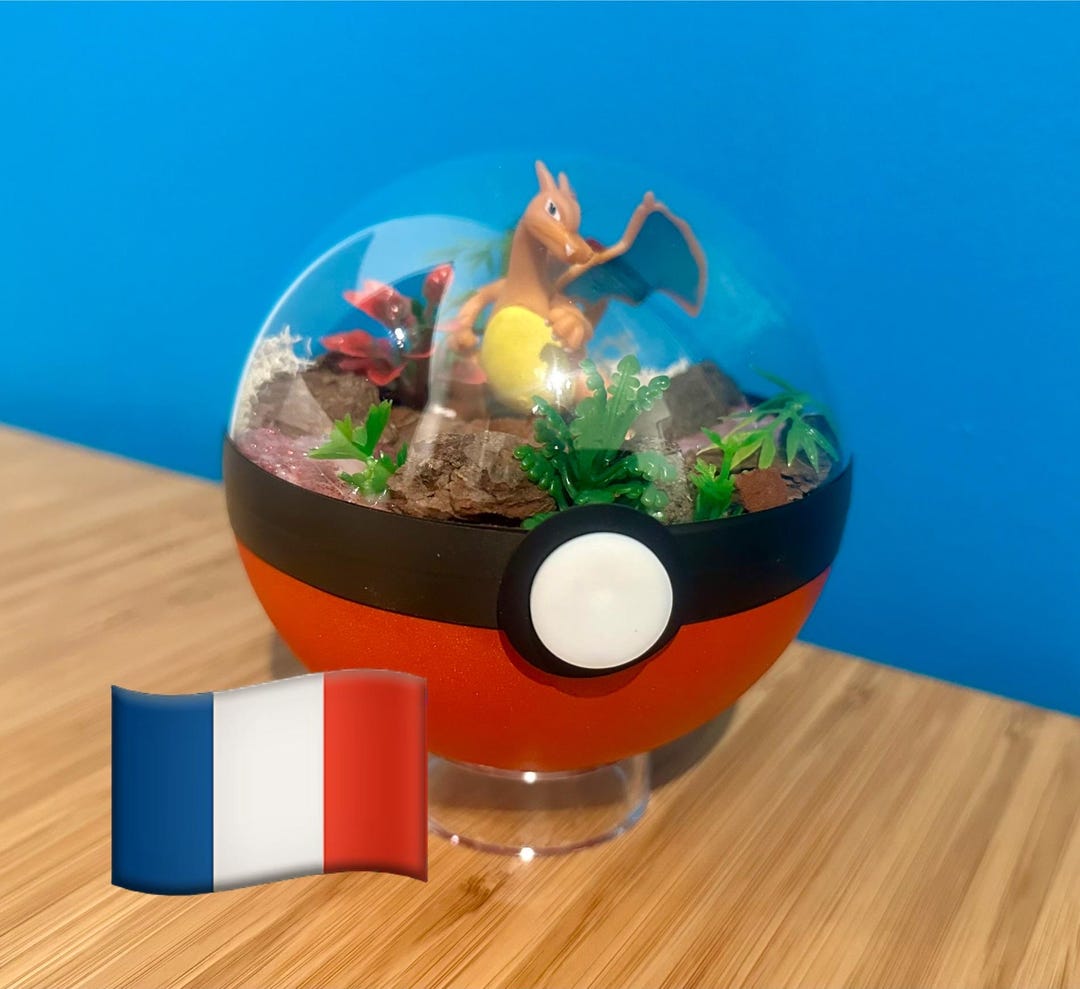 Pokeball Charizard Charizard Handmade Pokemon Terrarium Ball - Etsy
