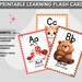 Printable Animal Alphabet Flash Cards | ABC Learning Cards for Kids ...