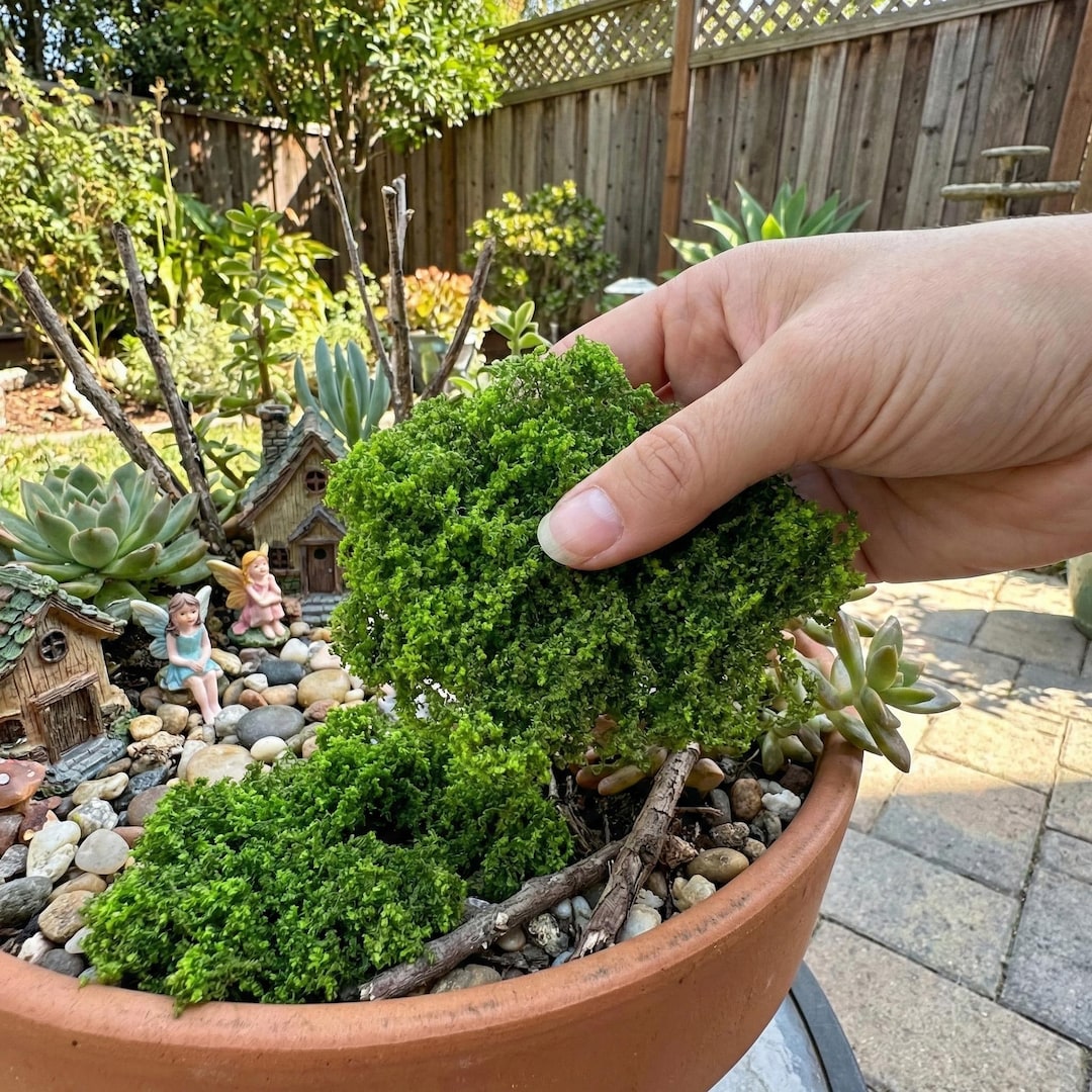 Fairy Garden Accessories - Artificial Moss - Artificial Plants - Faux ...