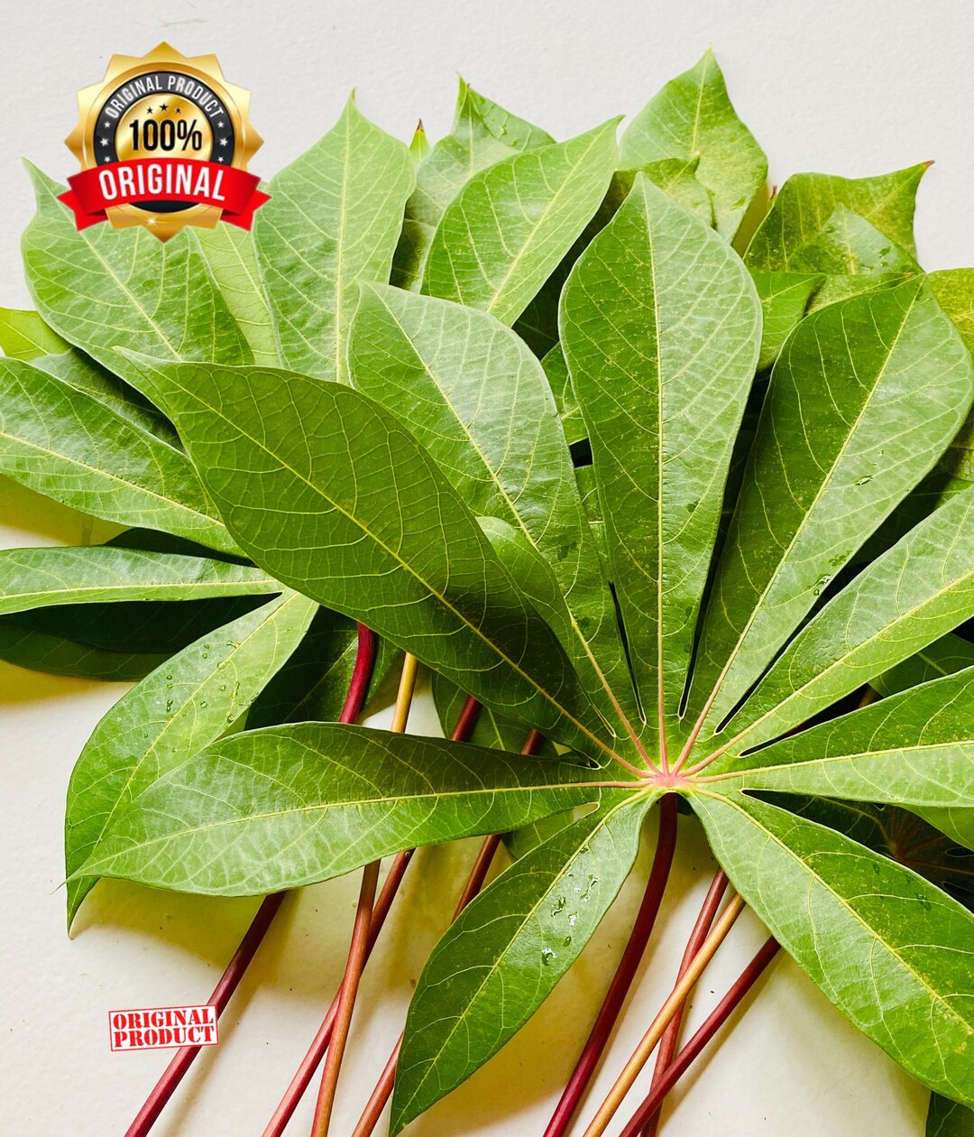 Cassava Leaves, Dried Cassava Leaves , Pure Yuca Leaf , Home Grown ...