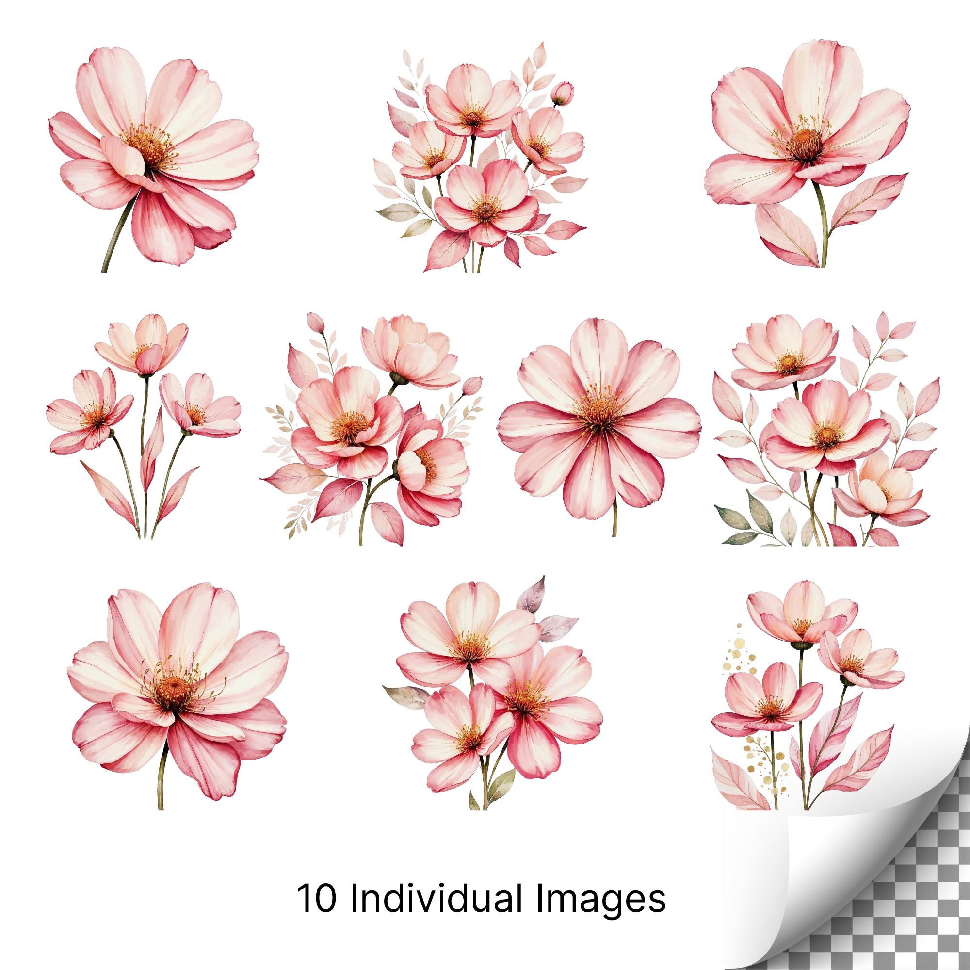 Watercolor Pink & Gold Flower Clipart: Abstract Floral Pngs (digital ...
