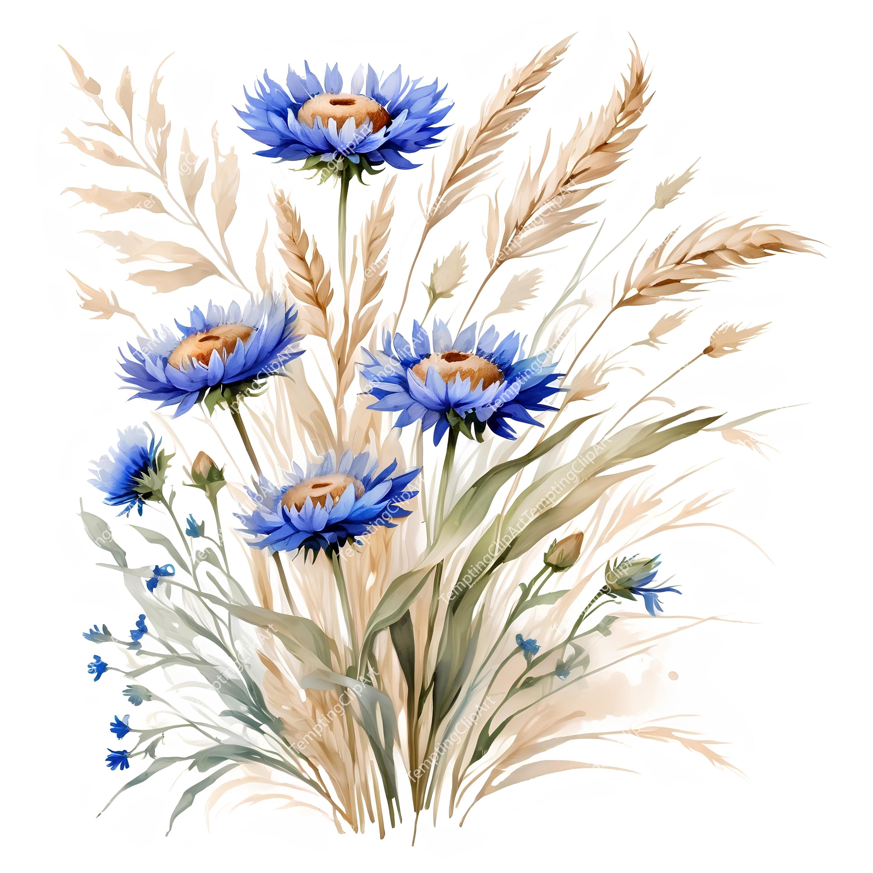 10 Boho Wildflowers Clipart | Watercolor Poppies & Cornflowers, Rustic ...