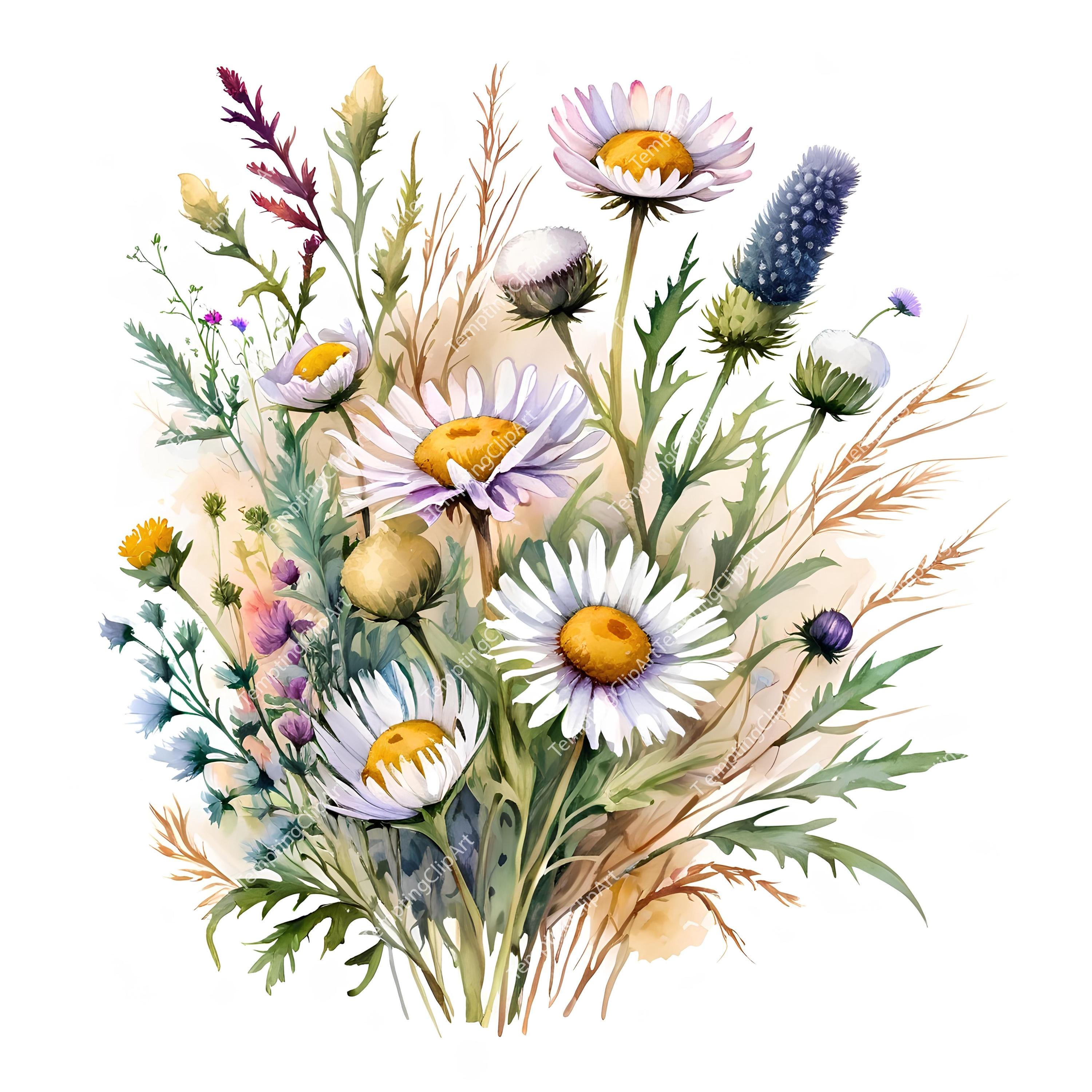 10 Boho Wildflowers Clipart | Watercolor Poppies & Cornflowers, Rustic ...
