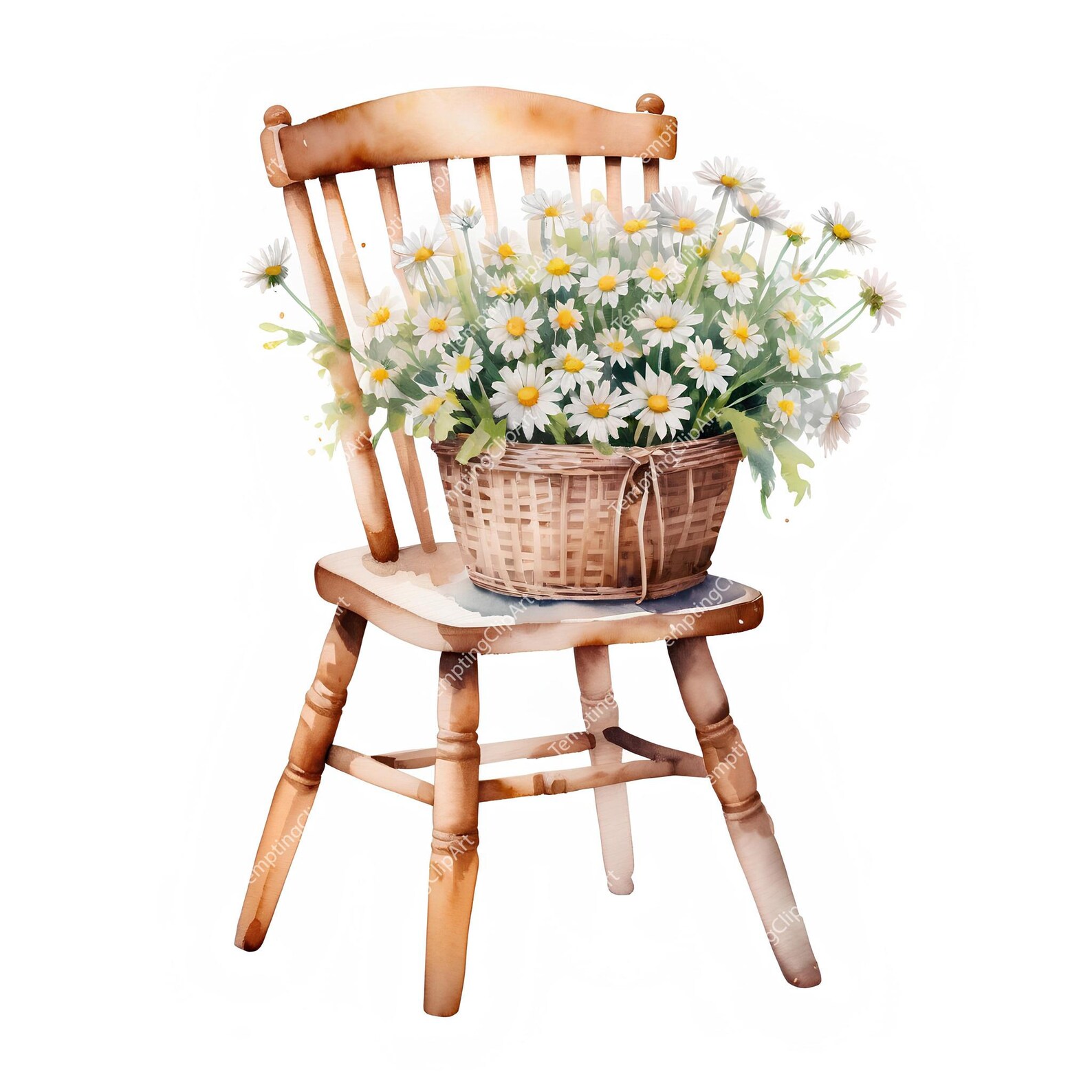 10 Wooden Chair With Daisy Flowers Clipart | Rustic Basket, Watercolor ...