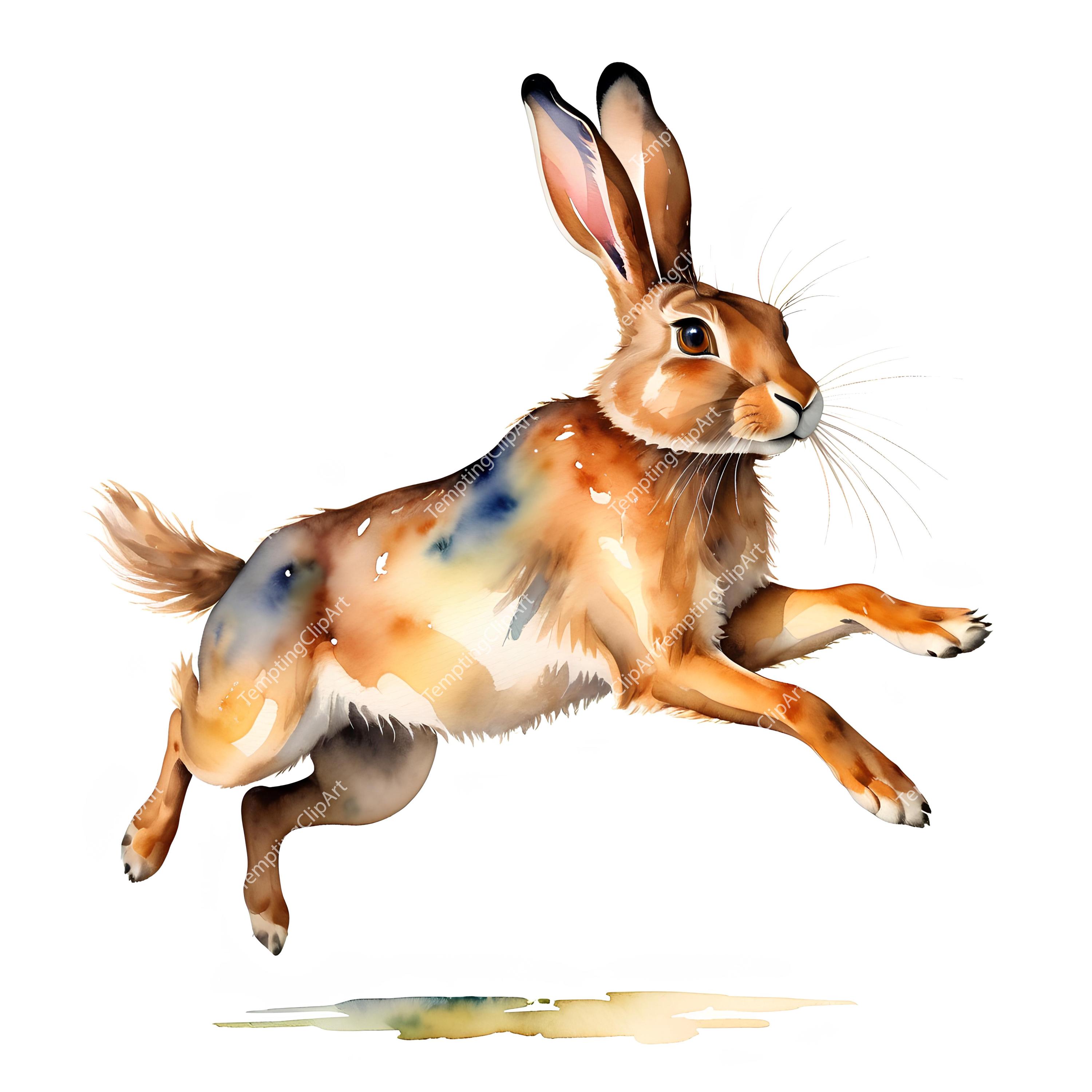 10 Jumping Hare Clipart | Watercolor Woodland Rabbit Art for Spring ...