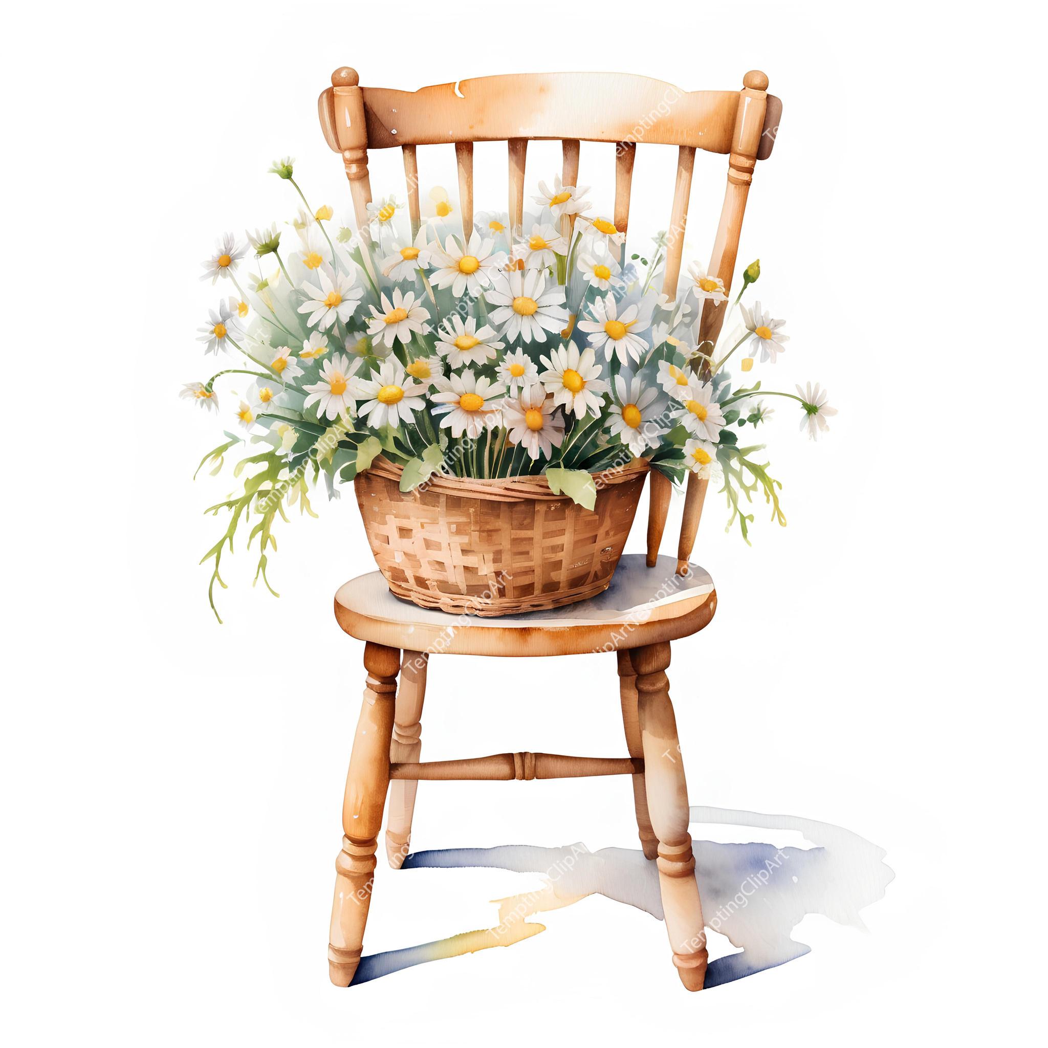 10 Wooden Chair With Daisy Flowers Clipart | Rustic Basket, Watercolor ...