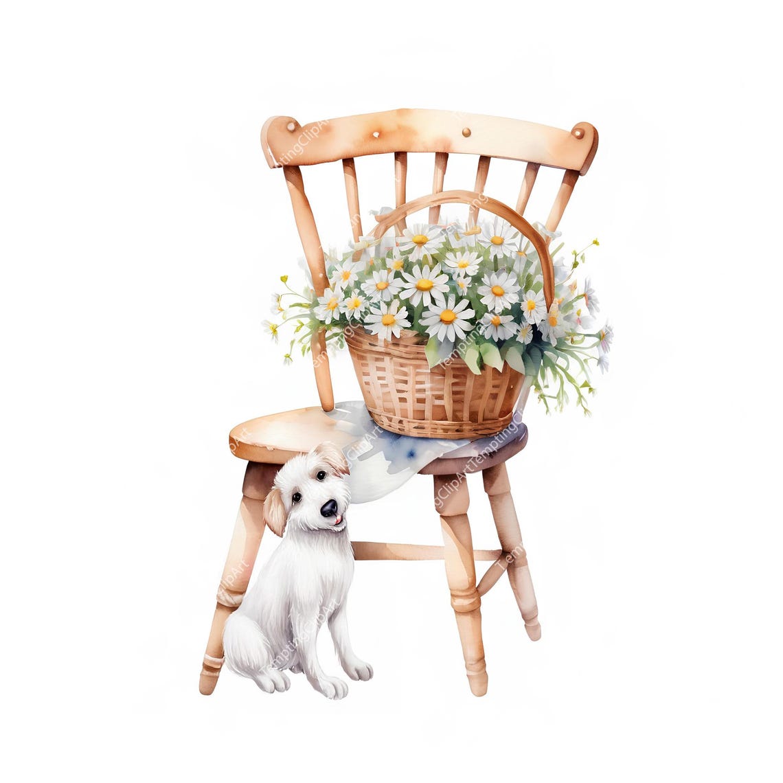10 Wooden Chair With Daisy Flowers Clipart | Rustic Basket, Watercolor ...