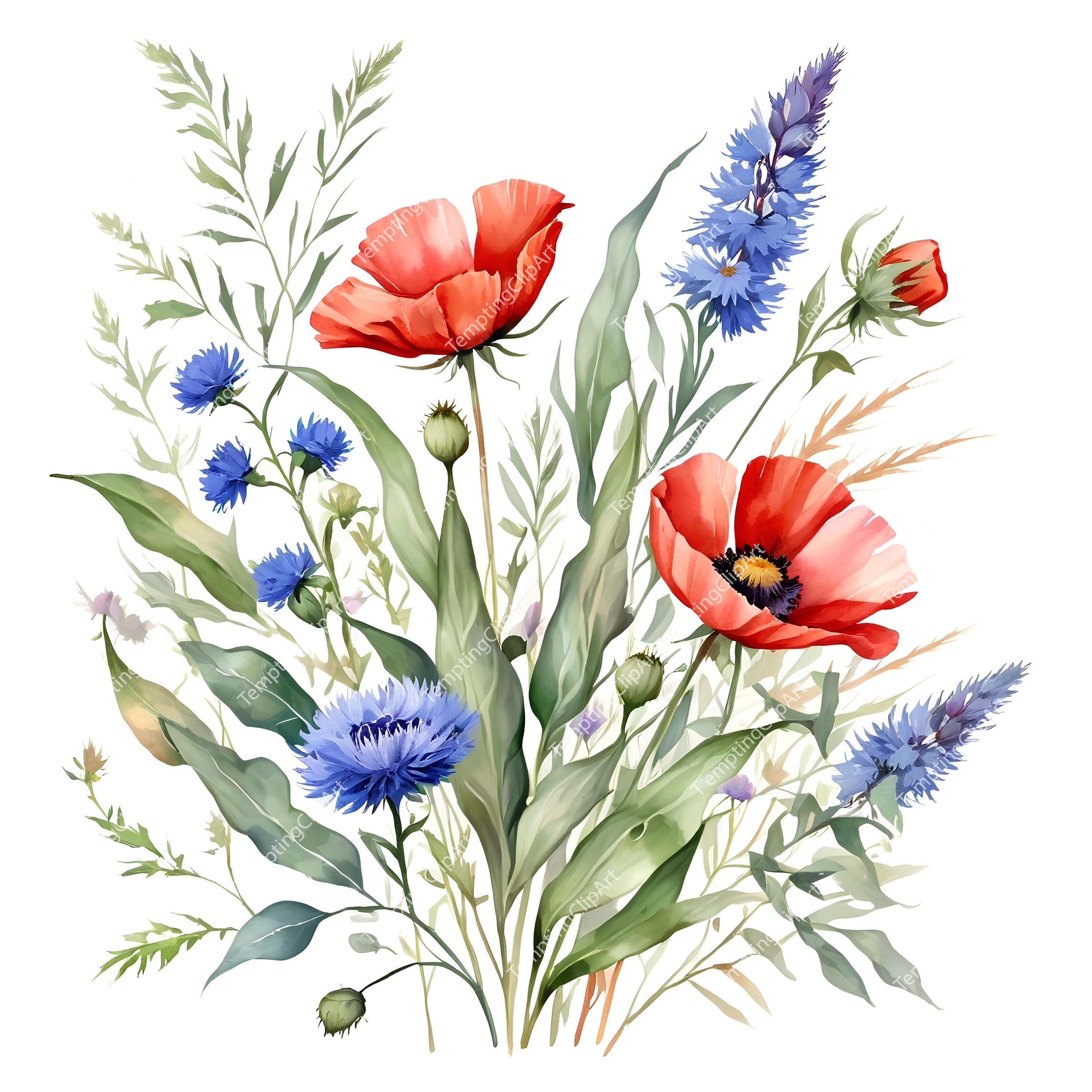 10 Boho Wildflowers Clipart | Watercolor Poppies & Cornflowers, Rustic ...