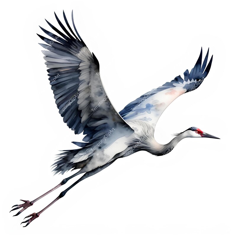 10 Flying Crane Clipart | Minimalist Japanese Zen Bird, Watercolor ...