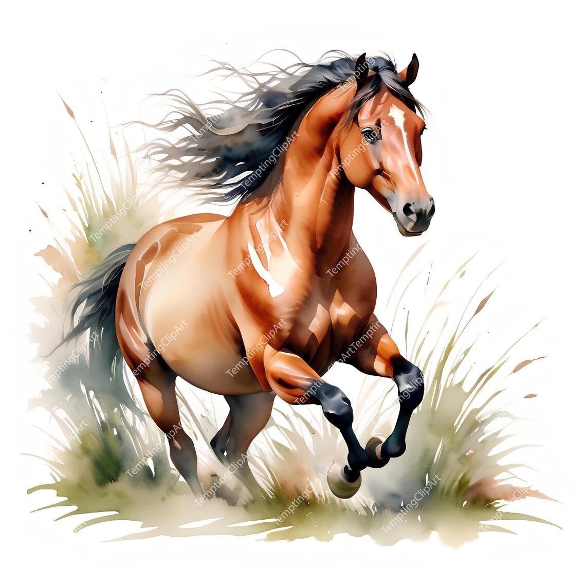 10 Wild Horse Galloping Clipart | Wild Animal, Printable Watercolor ...
