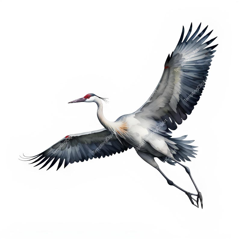 10 Flying Crane Clipart | Minimalist Japanese Zen Bird, Watercolor ...