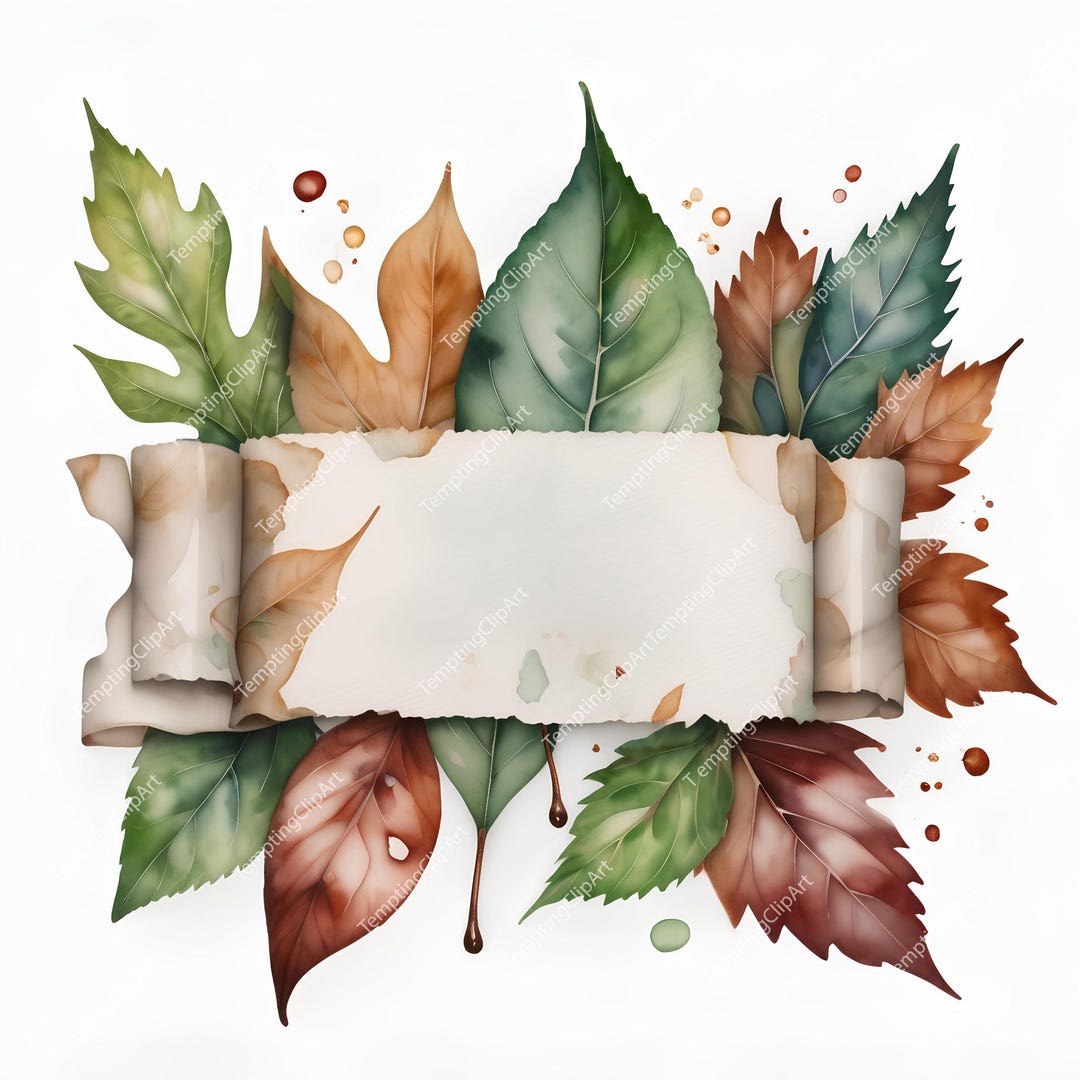 15 Vintage Scroll for Text Clipart | Wax Seal & Leaf, Watercolor ...