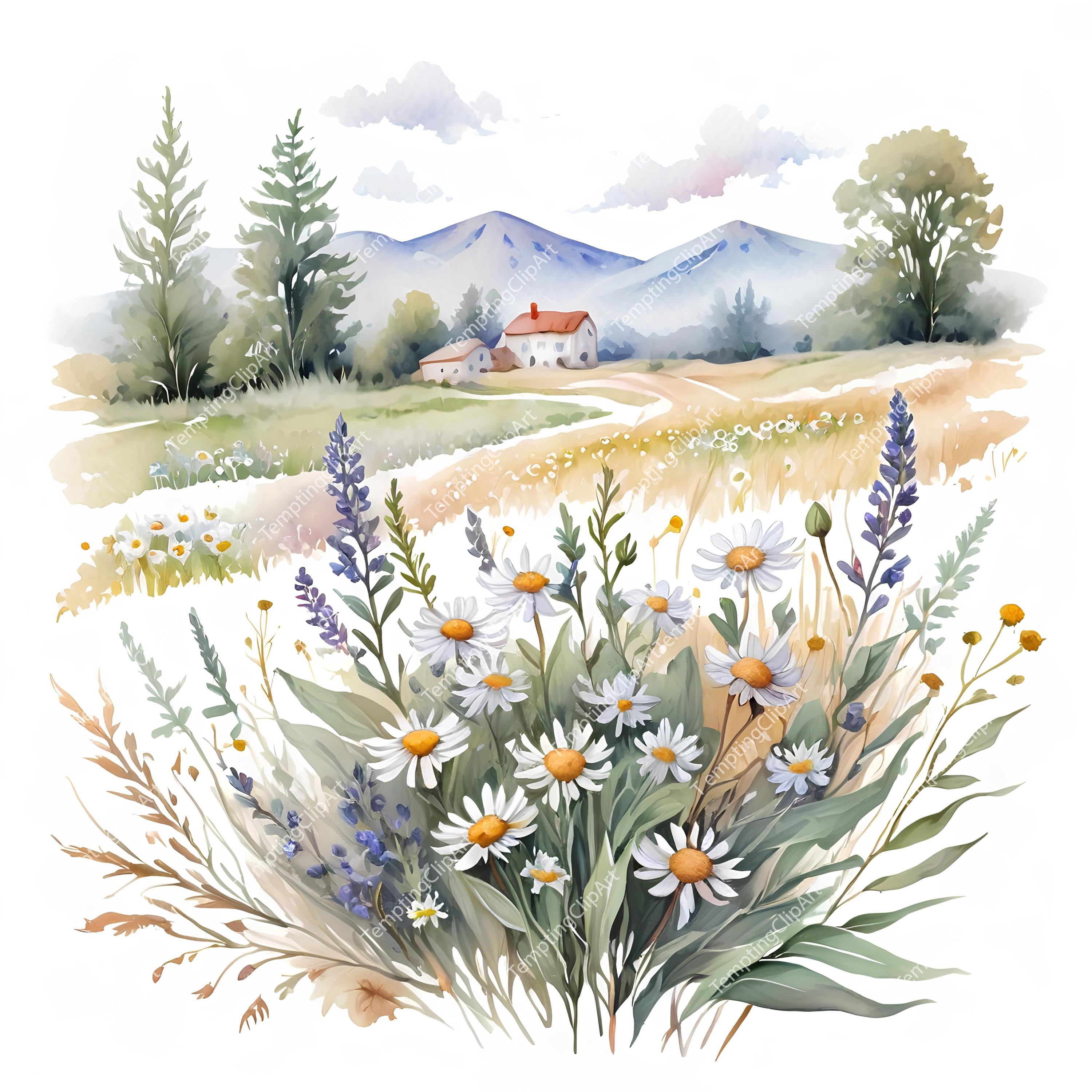 10 Boho Wildflowers Clipart | Watercolor Poppies & Cornflowers, Rustic ...