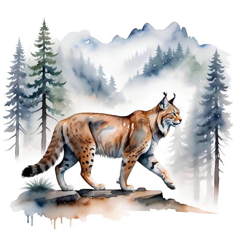 Watercolor Lynx Clipart: Misty Pine Forest Animal Art (digital Download ...