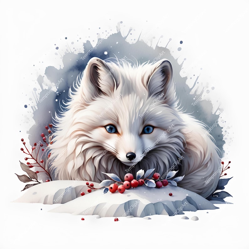 Watercolor Arctic Fox Clipart Set: Winter Wildlife Art (JPG Download ...
