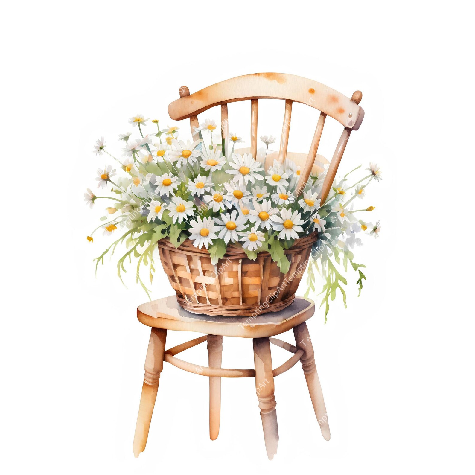 10 Wooden Chair With Daisy Flowers Clipart | Rustic Basket, Watercolor ...