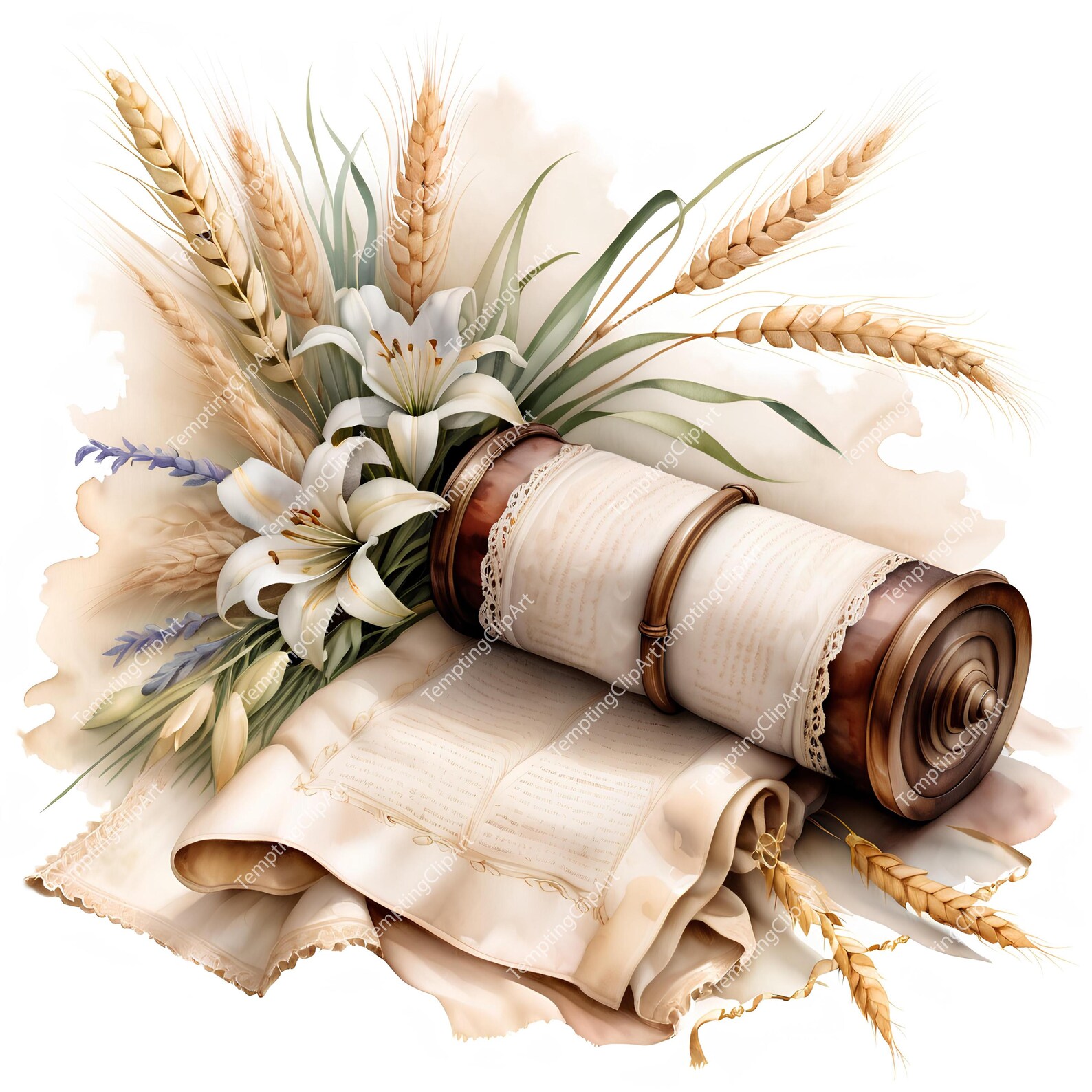 10 Torah Scroll Clipart | Jewish Art, Shavuot, Printable Watercolor ...