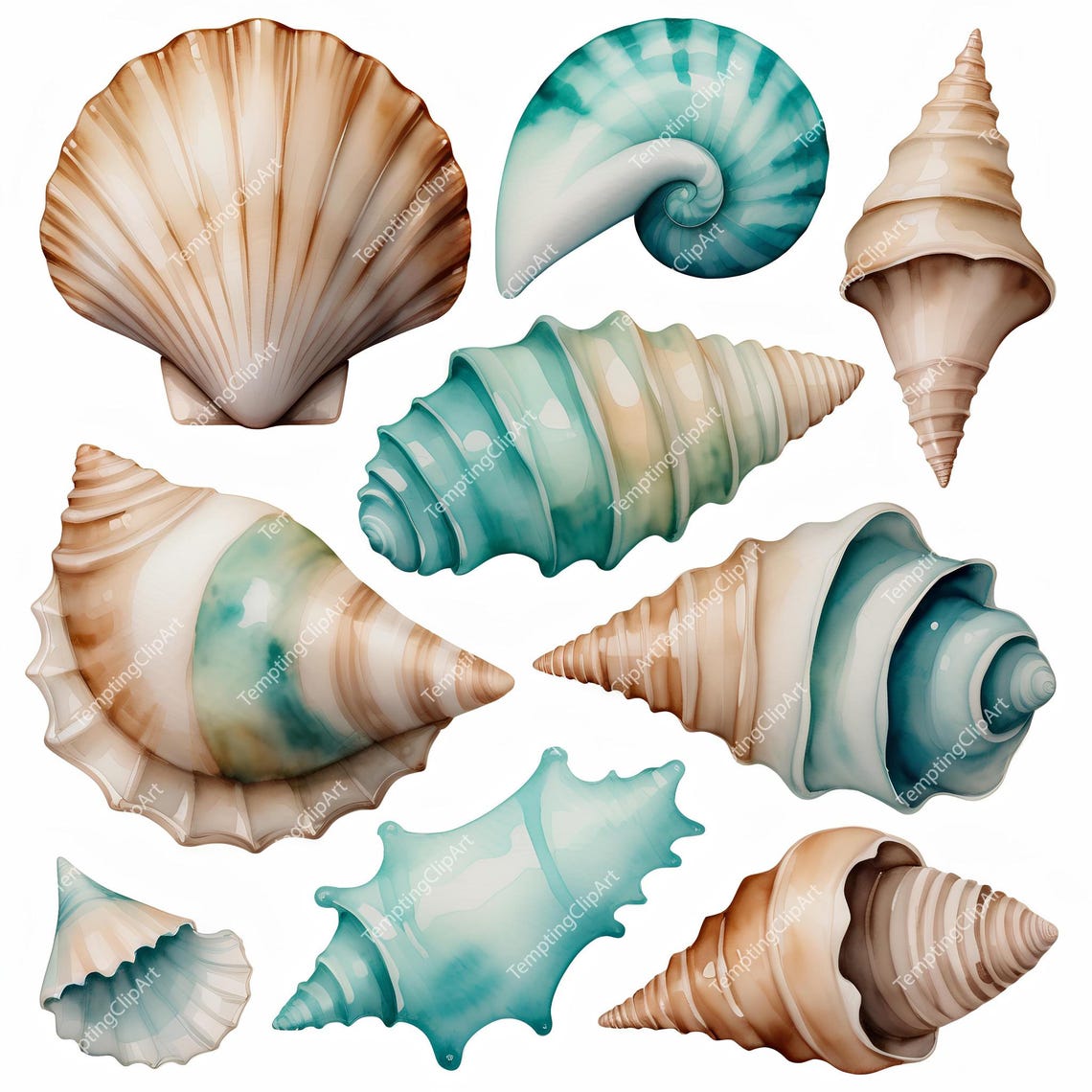 10 Seashell Set Clipart | Boho Beach Decor, Printable Watercolor ...