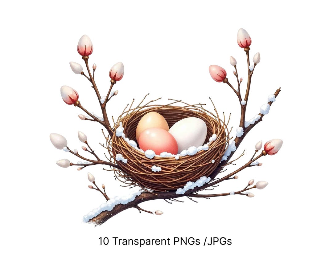 10 Bird Nests Clipart | Watercolor Nests With Colored Eggs, Autumn ...