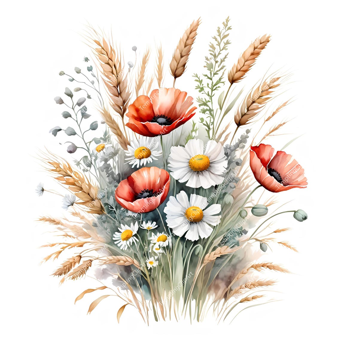 10 Boho Wildflowers Clipart | Watercolor Poppies & Cornflowers, Rustic ...