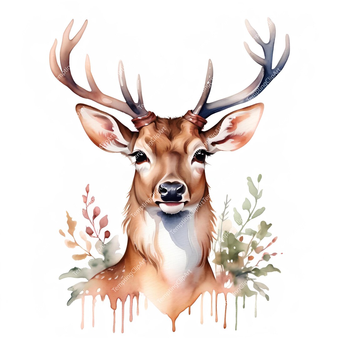 Watercolor Deer Clipart | Woodland Animal Antlers, Fall Decor (digital ...