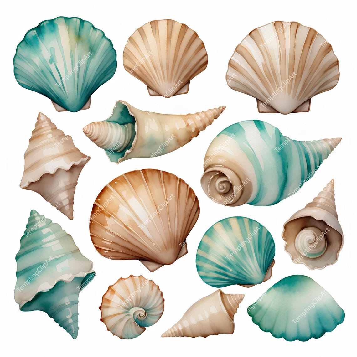 10 Seashell Set Clipart | Boho Beach Decor, Printable Watercolor ...
