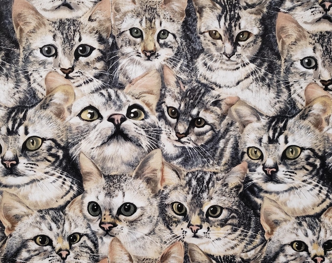 Gray Tiger Cat Fat Quarter Novelty Quilting Cotton Fabric I Spy ...