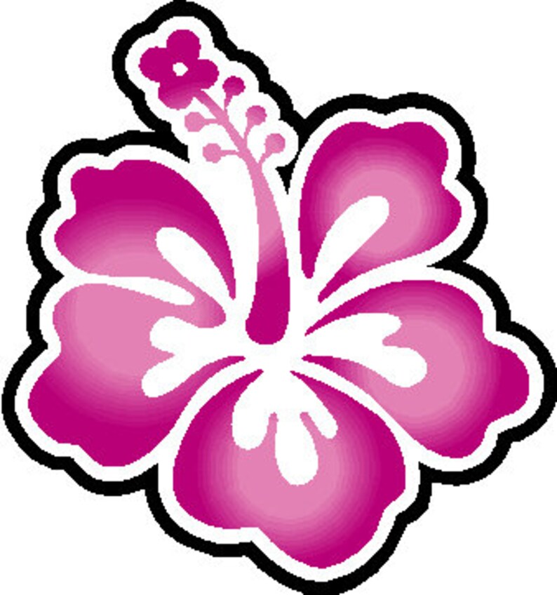 Hibiscus Flower Name Vinyl Decal: Personalized - Etsy
