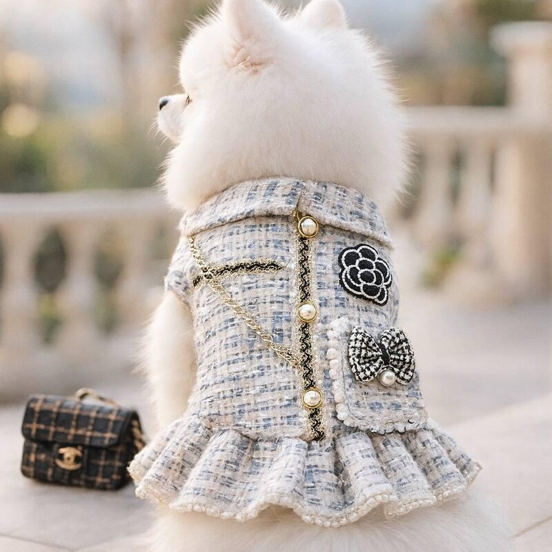 Chanel Dog - Etsy
