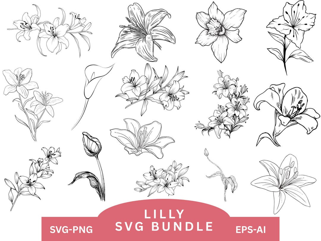 Lily Flowers Svg Bundle,botanical Flowers Line Art Svg,lily Flowers ...