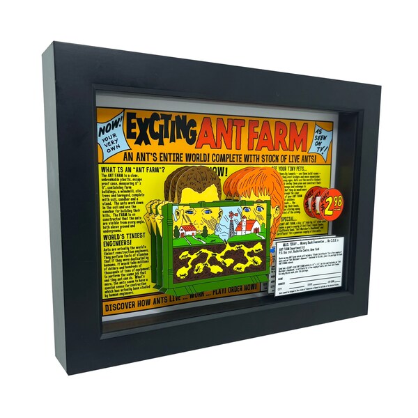 Ant Farm Wall - Etsy