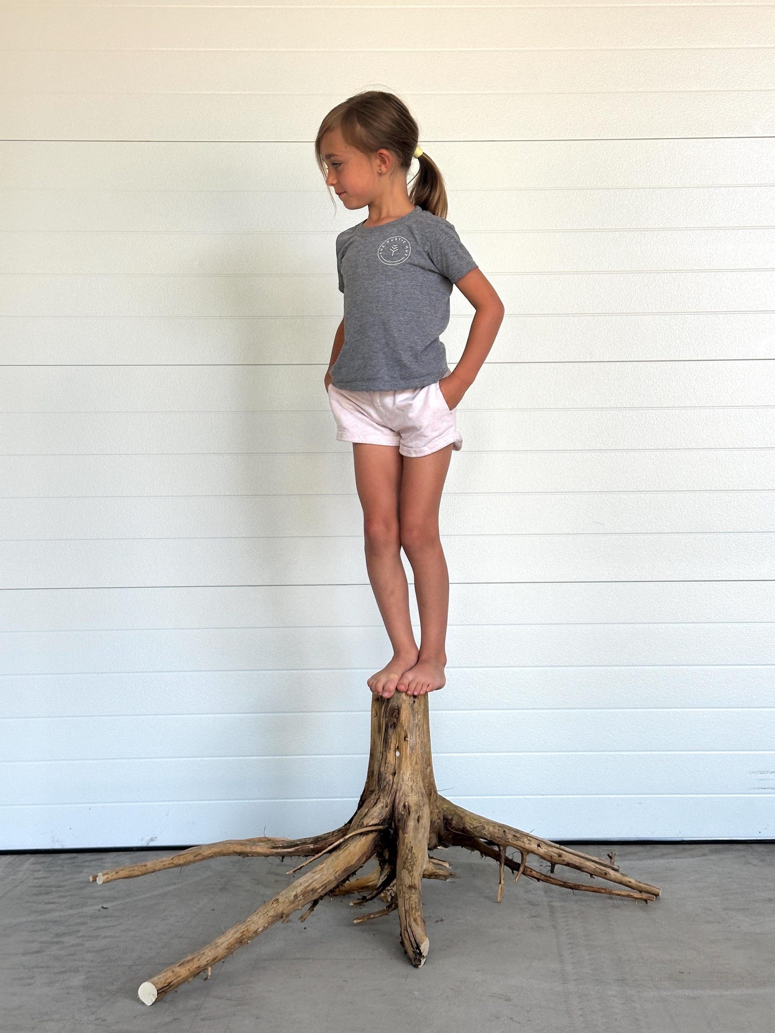 Tree Root | Cedar Root | Exposed Tree Root | Wall Decor | Art | Craft | DIY - Etsy