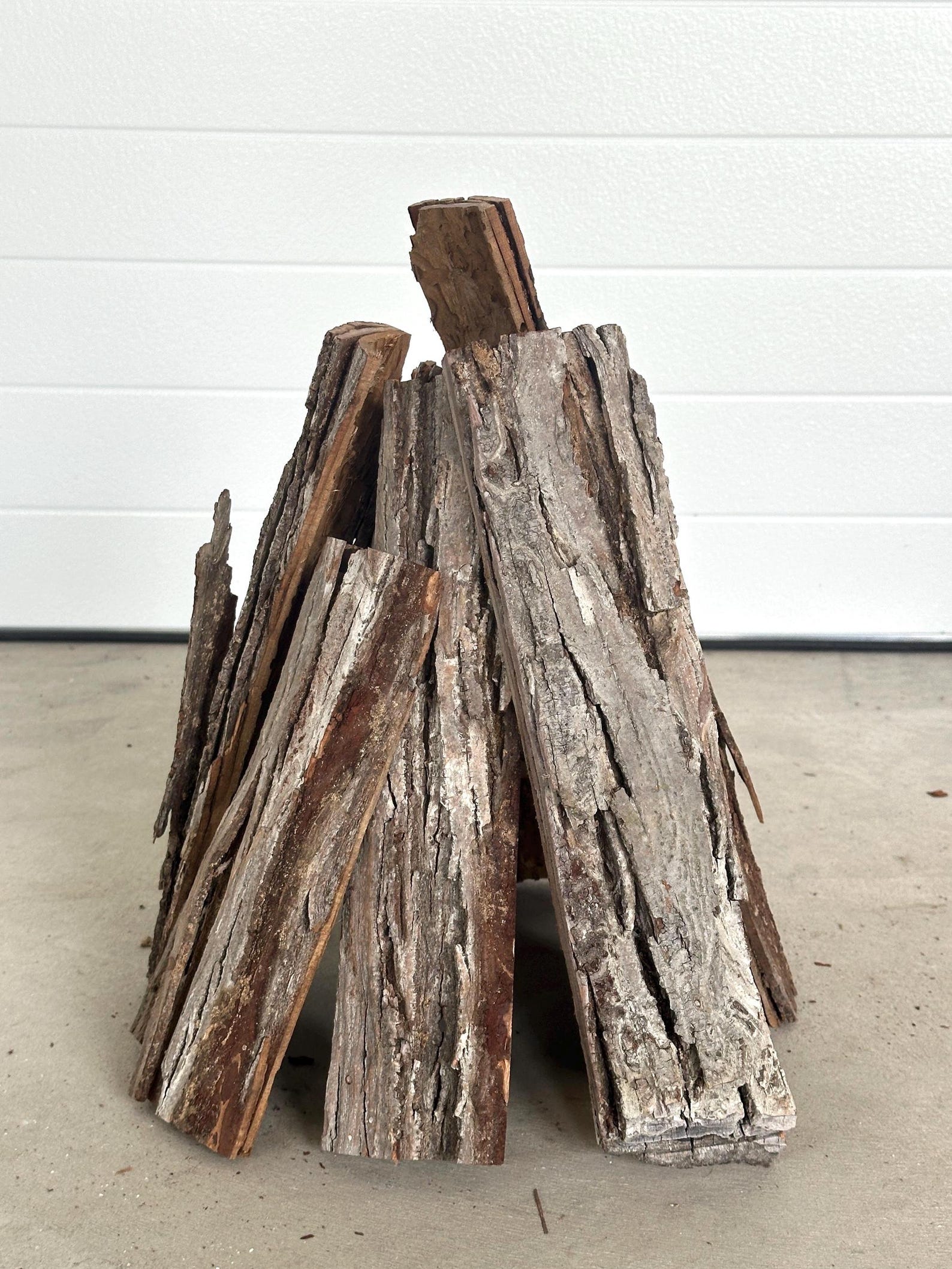 Bark Bundle | Bark Box | Blind Bark Box | Tree Bark | Craft | Art ...