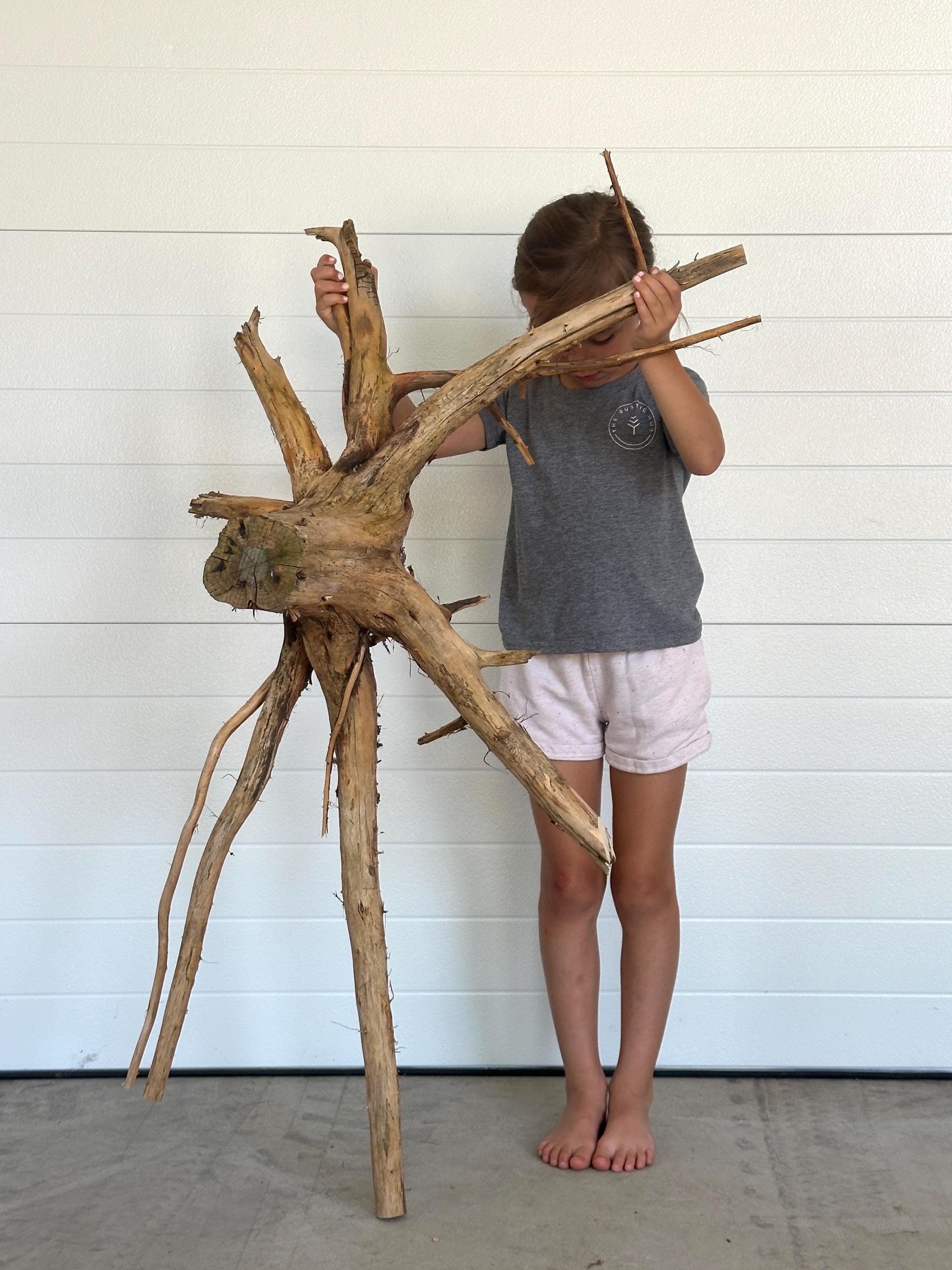 Tree Root | Cedar Root | Exposed Tree Root | Wall Decor | Art | Craft | DIY - Etsy