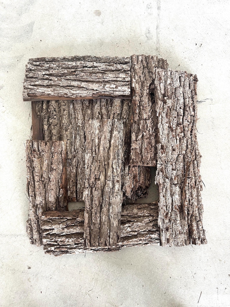 Bark Bundle | Bark Box | Blind Bark Box | Tree Bark | Craft | Art ...