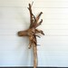 Tree Root | Cedar Root | Exposed Tree Root | Wall Decor | Art | Craft ...