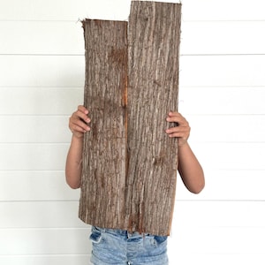Bark Bundle | Bark Box | Blind Bark Box | Tree Bark | Craft | Art ...