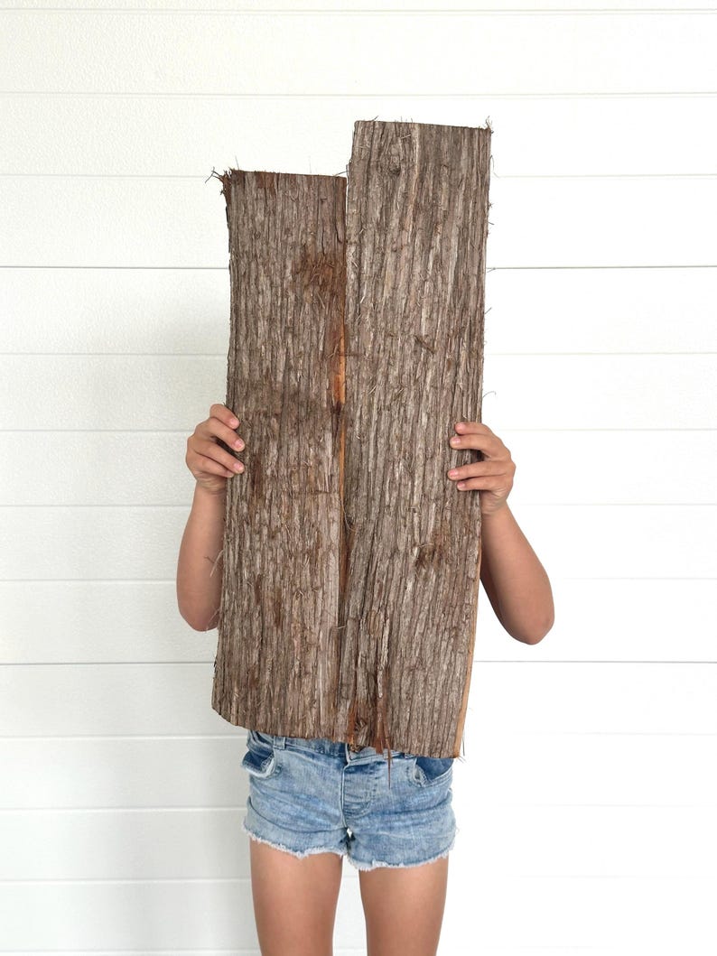 Bark Bundle | Bark Box | Blind Bark Box | Tree Bark | Craft | Art ...