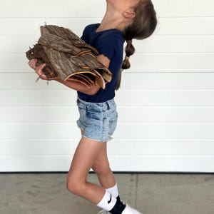 Bark Bundle | Bark Box | Blind Bark Box | Tree Bark | Craft | Art ...