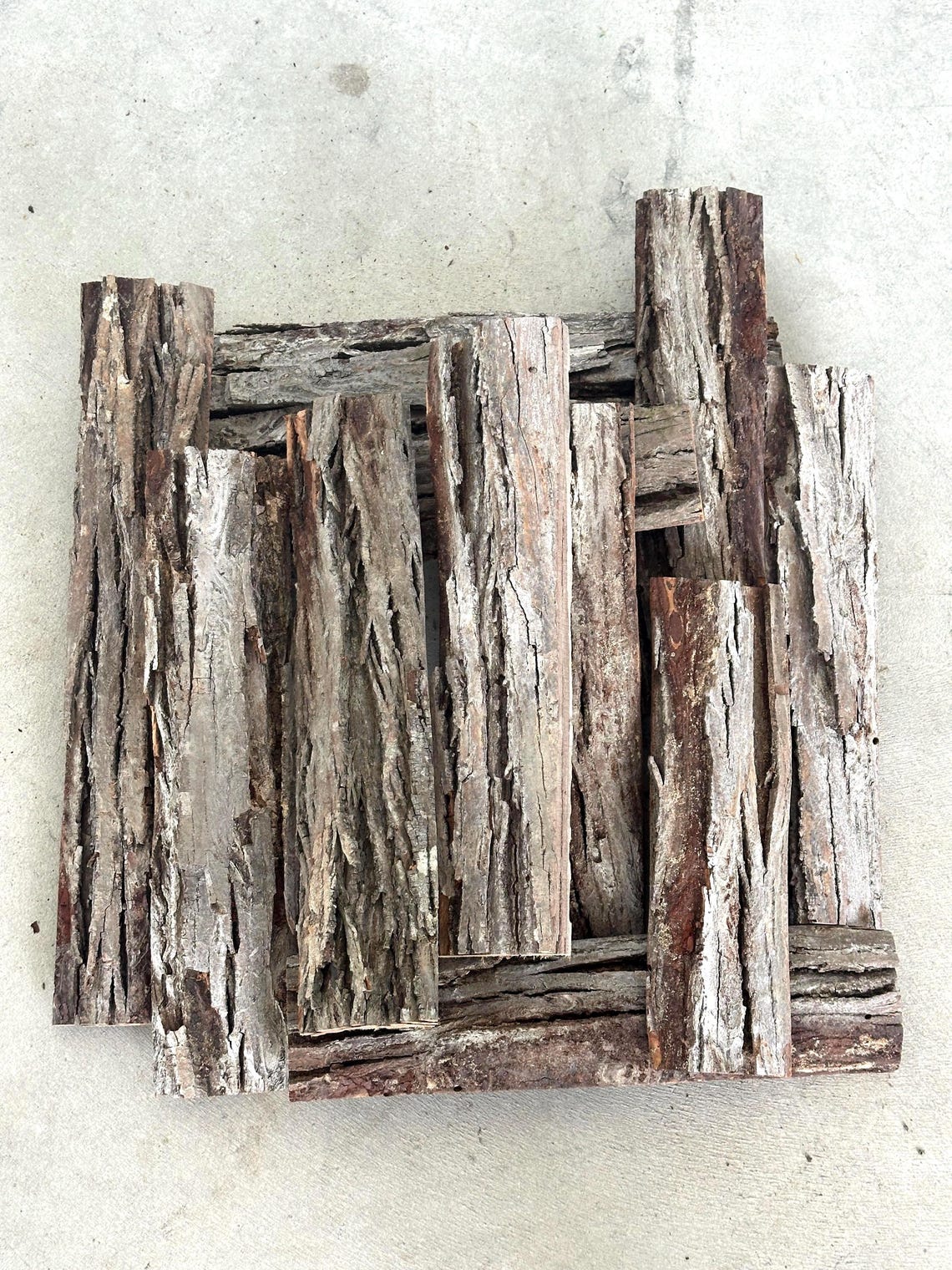 Bark Bundle | Bark Box | Blind Bark Box | Tree Bark | Craft | Art ...