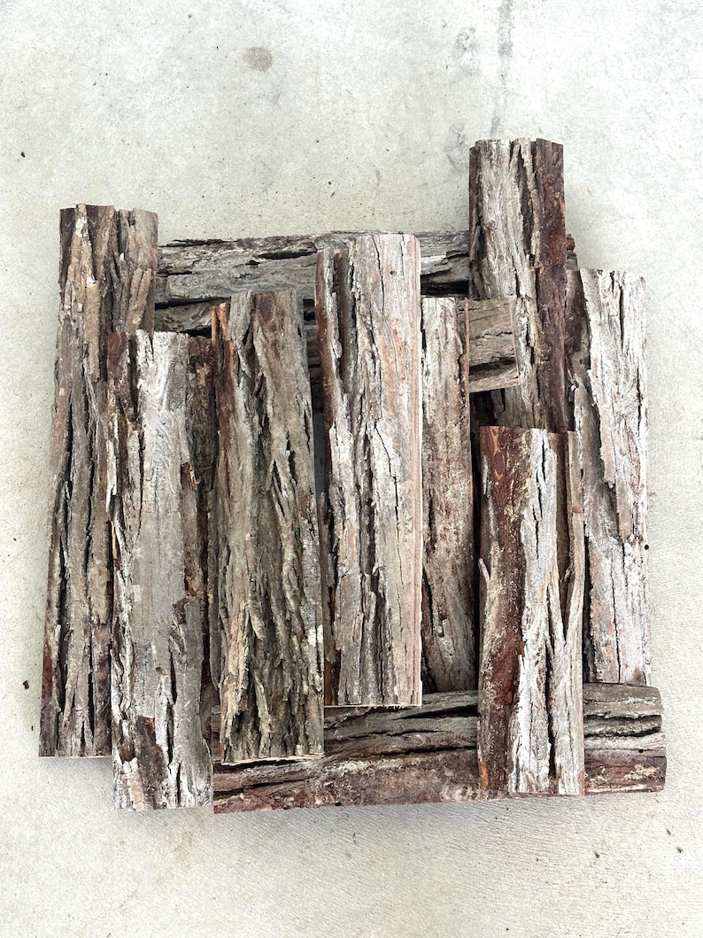 Bark Bundle | Bark Box | Blind Bark Box | Tree Bark | Craft | Art ...