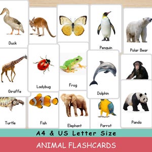 40 Printable Animal Flashcards for Kids Learning - Etsy