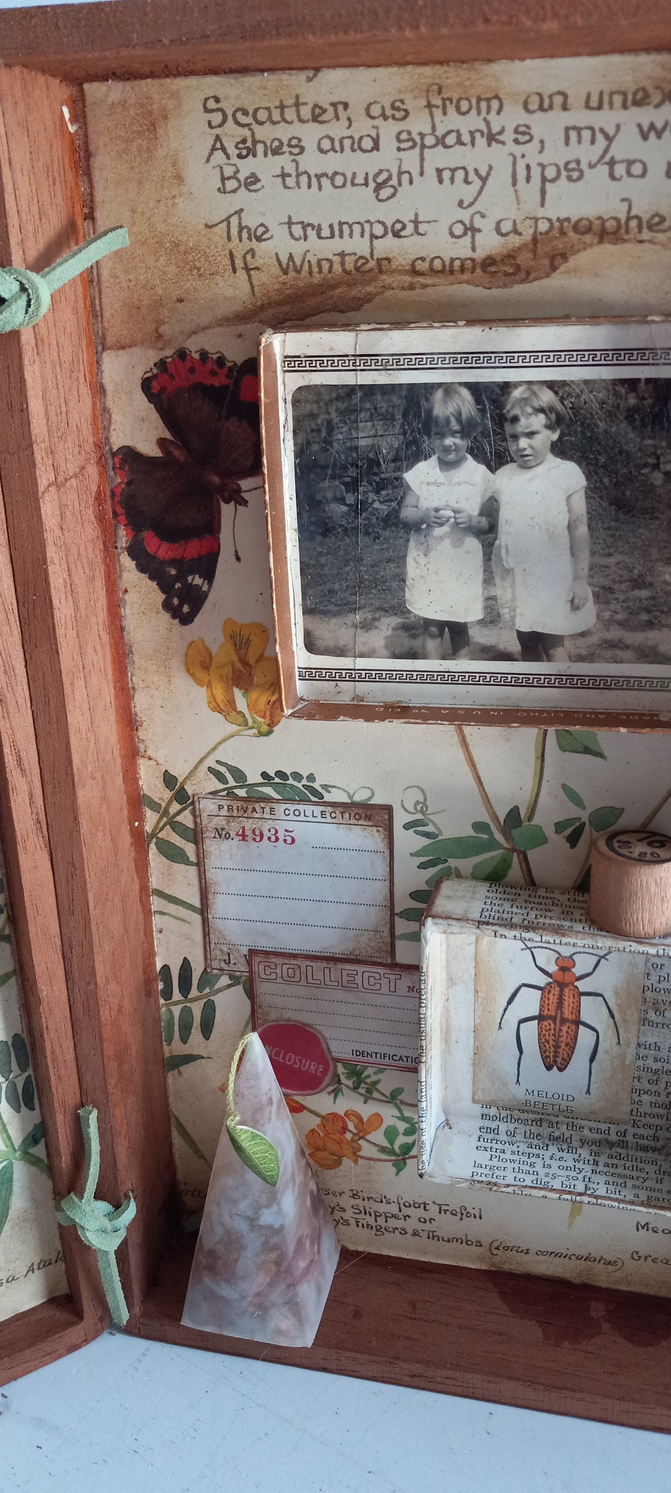 Mixed Media, Nature Diorama, Garden Showcase, Bugs, Wild Flowers ...